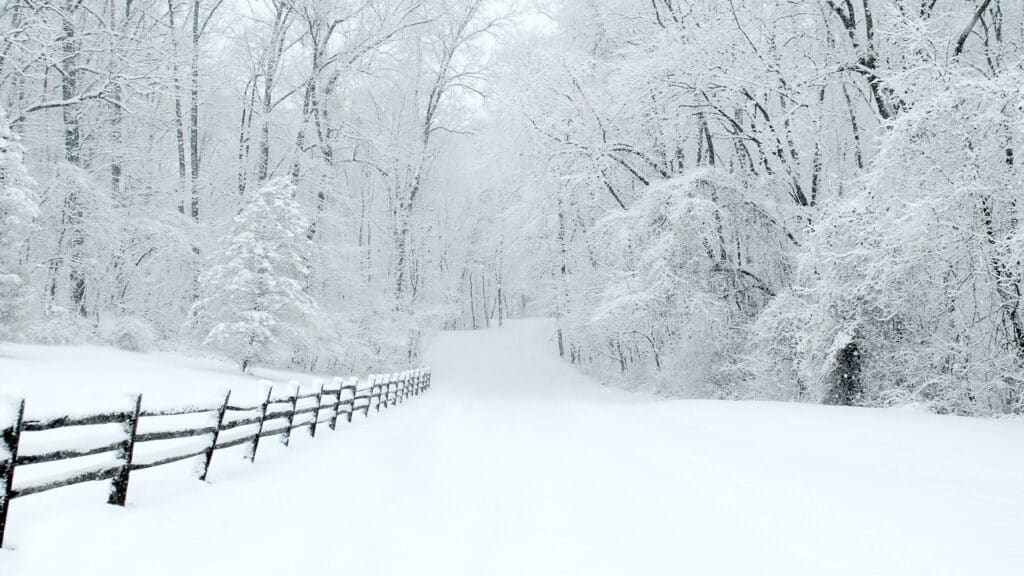 Effektiv snøbrøyting: Guide og tips for vintersesongen 2024 ...