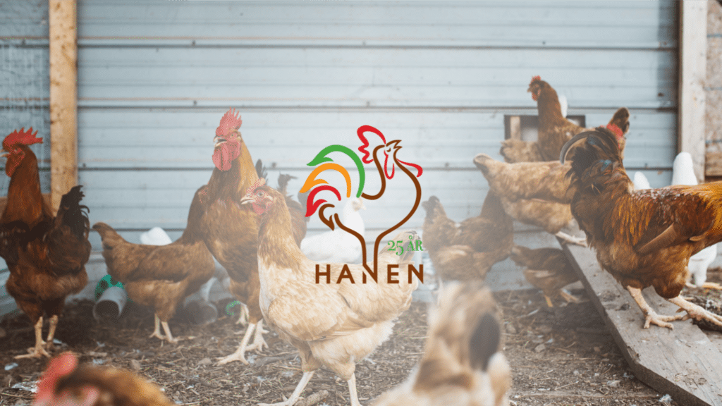 Bli med i Hanen – Nettverket for lokalmat, reise og opplevelser i Norge ...