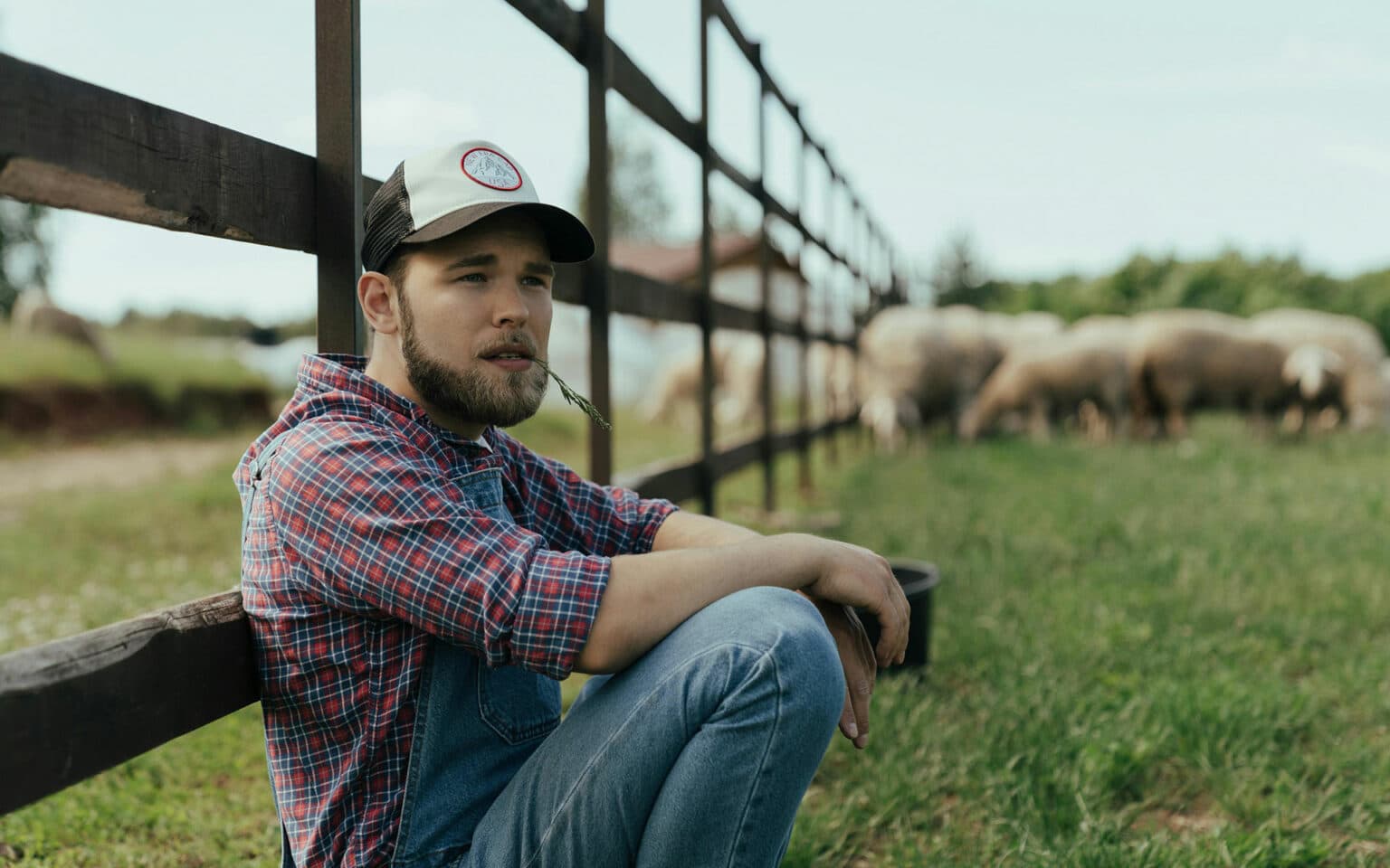 Stiftelsen Norsk Mat – Trygghet, kvalitet og opprinnelse i norsk ...